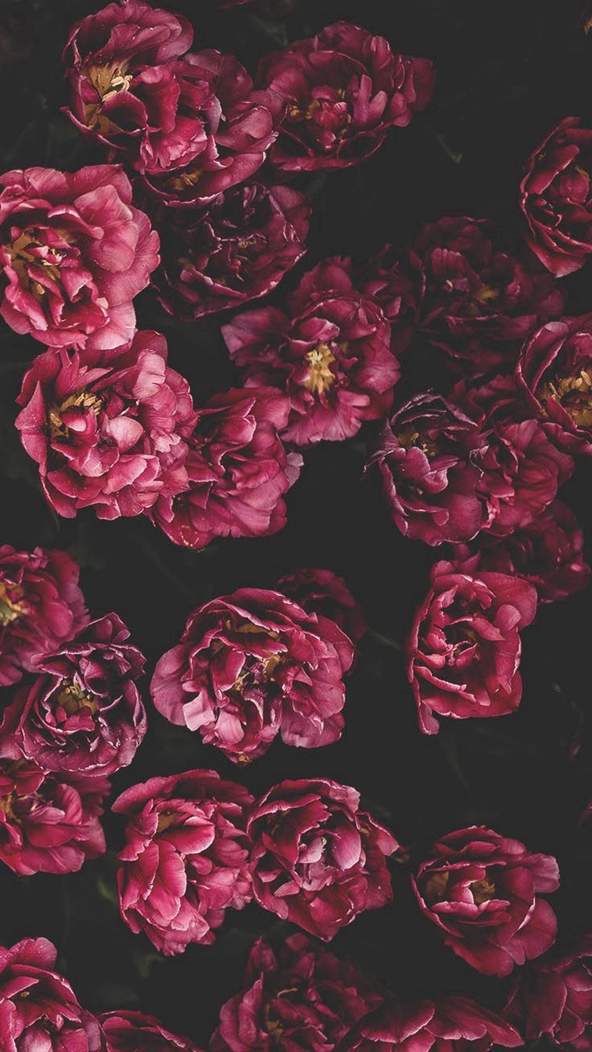 Ghost Piano - XP by ridhwan • Audius